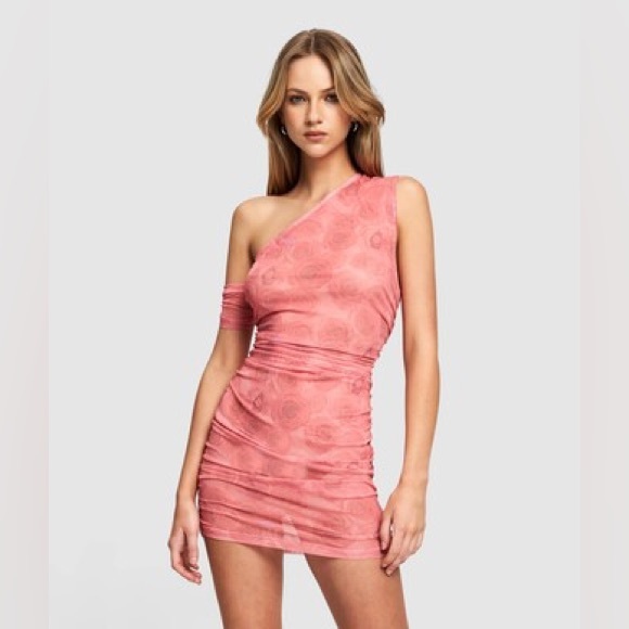 Lioness | Dresses | Dirty Dancing Mini Dress Roses | Poshmark